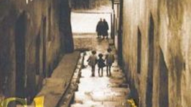 Shosha - Resenhas - Livros - Bons Livros Para Ler
