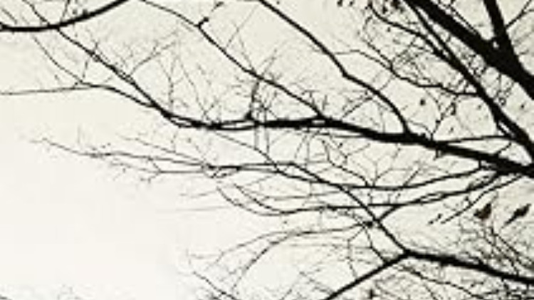 A Morte Feliz - Resenhas - Livros - Bons Livros Para Ler